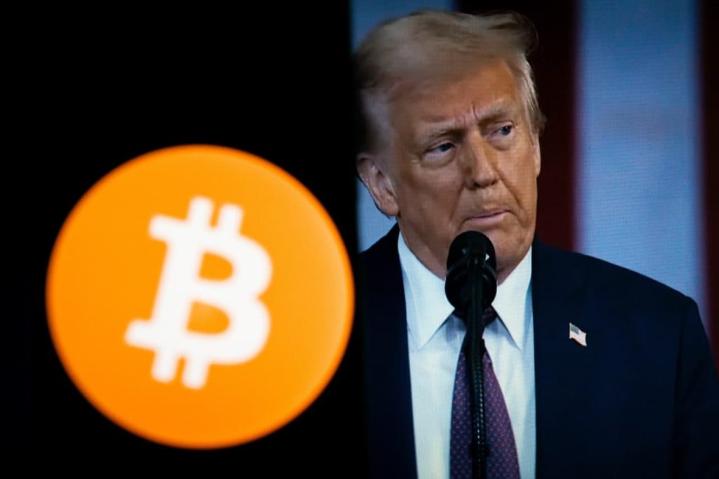The Rise in Bitcoin Millionaires: Key Trends One Year Post-Trump ...